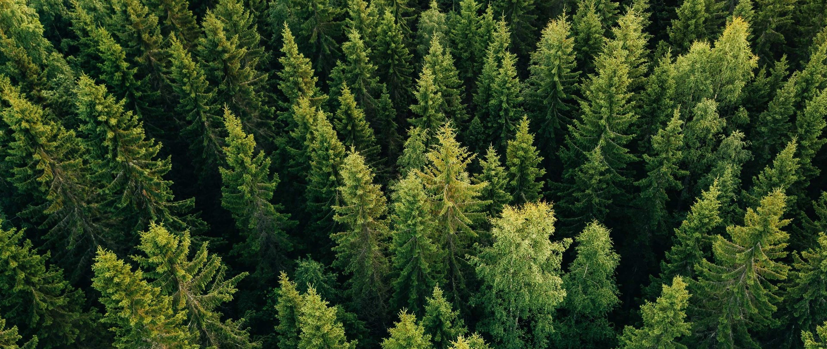 Nordic Experts in Real Asset Investments | United Bankers